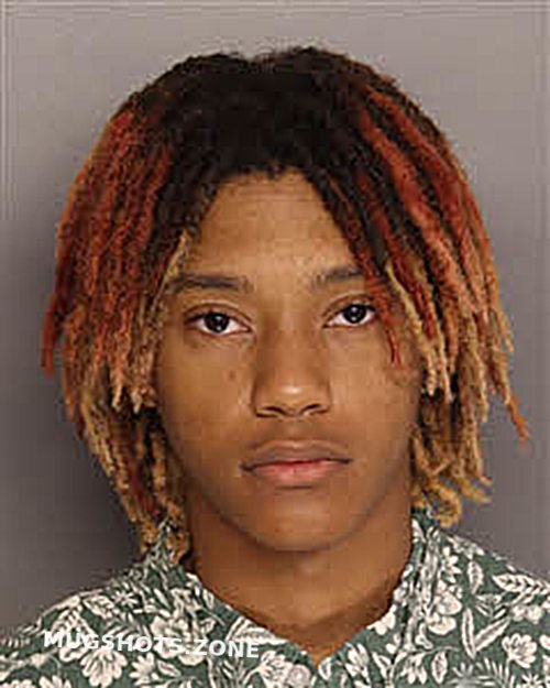 FIELDS TERRELL 06/02/2025 - Berkeley County Mugshots Zone