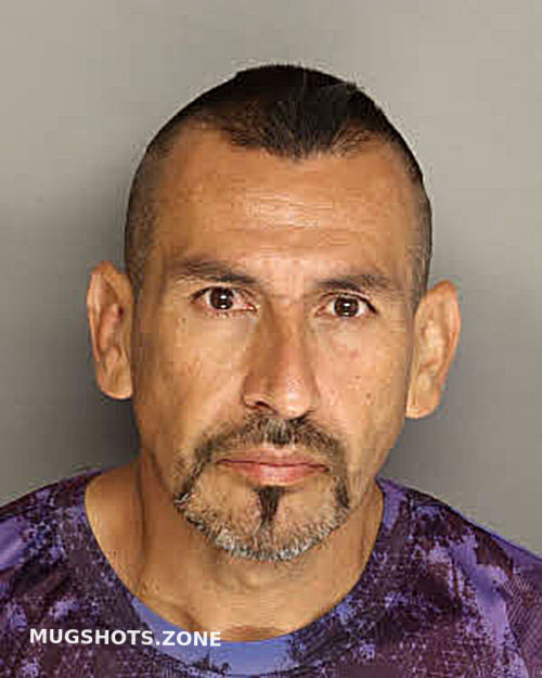RAMOS RAMIRO 06/02/2025 - Berkeley County Mugshots Zone