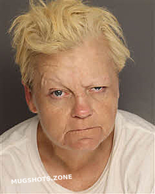 PARSON TIFFANY MICHELLE 06/05/2025 - Berkeley County Mugshots Zone