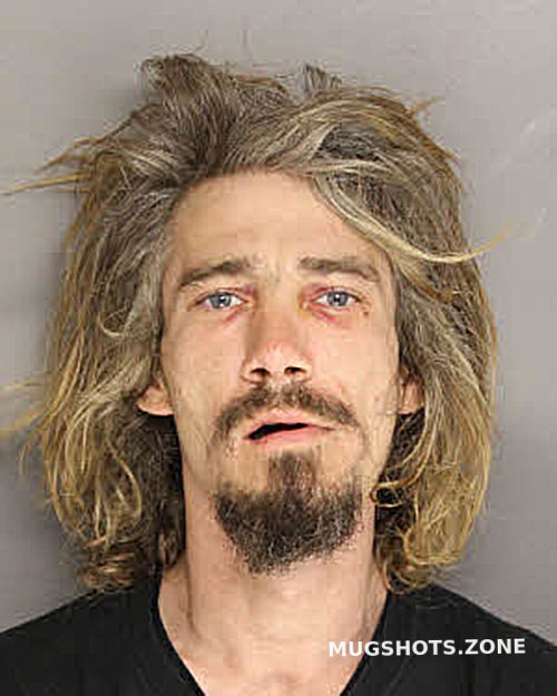 DENNIS MICHAEL DANIEL SCOTT 06/13/2025 - Berkeley County Mugshots Zone