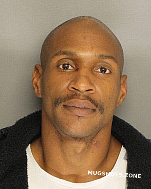 BROWN DAVID LAWRENCE 06/15/2025 - Berkeley County Mugshots Zone