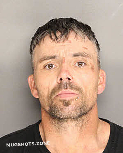 WARD DAVID SEAN 06/17/2025 - Berkeley County Mugshots Zone