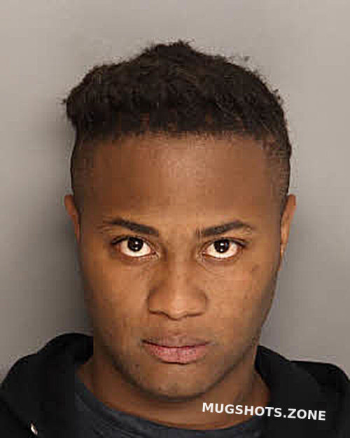 MURRAY DEANGELO HENRY 06/18/2025 - Berkeley County Mugshots Zone