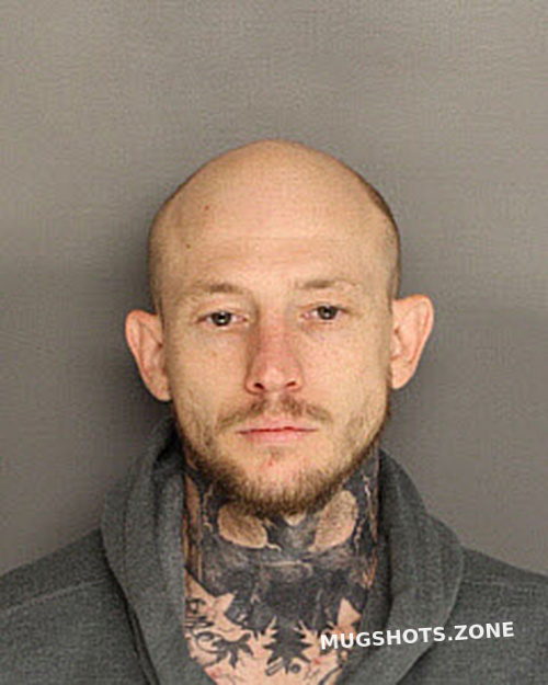 WATSON DANIEL WESLEY 06/20/2025 - Berkeley County Mugshots Zone