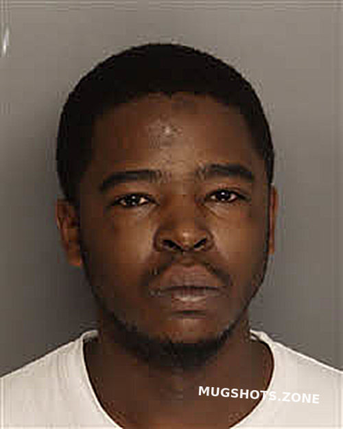 TERRY DEVONTE DUANE 06/21/2025 - Berkeley County Mugshots Zone