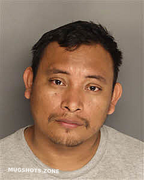 LOPEZ RAMIREZ MARCO TULIO 06/28/2025 - Berkeley County Mugshots Zone