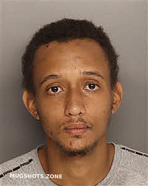 ROSA BRYAN PIMENTEL 07/01/2025 - Berkeley County Mugshots Zone