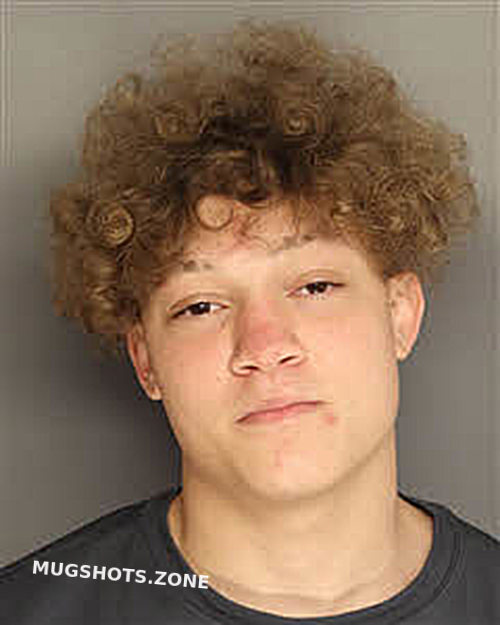BURKS DILLON GREGORY 07/11/2025 - Berkeley County Mugshots Zone