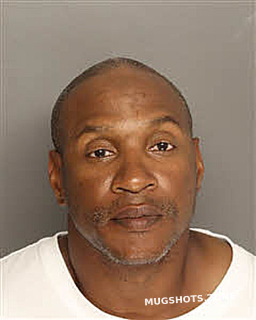 BROWN DAVID LAWRENCE 07/20/2025 - Berkeley County Mugshots Zone