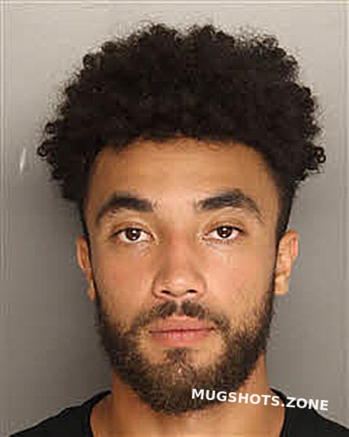 SMITH CHRISTIAN NICHOLAS 07/20/2025 - Berkeley County Mugshots Zone