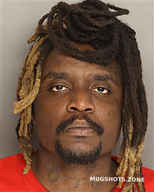 WASHINGTON JULIUS HAMILTON 07/22/2025 - Berkeley County Mugshots Zone