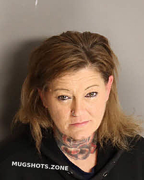 FEAGIN TONYA DENISE 07/26/2025 - Berkeley County Mugshots Zone