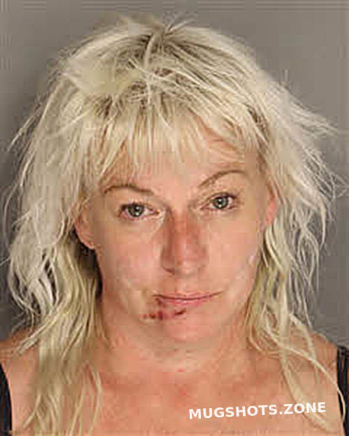 YOUNG PAULA ANNE 07/27/2025 - Berkeley County Mugshots Zone