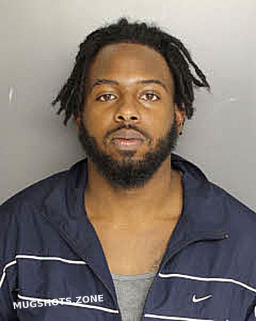 BROWN HAROLD 07/28/2025 - Berkeley County Mugshots Zone