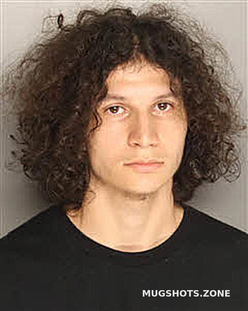 BLOUNT ZACHARY AYDEN 07/29/2025 - Berkeley County Mugshots Zone