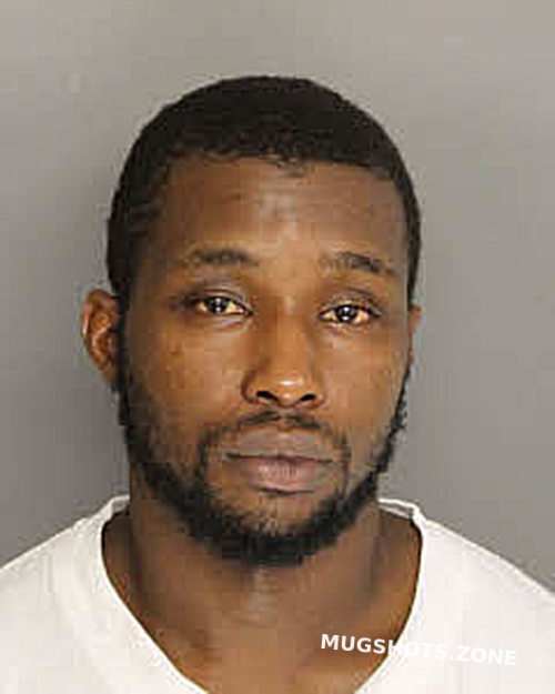 GREY DONNELL 07/30/2025 - Berkeley County Mugshots Zone