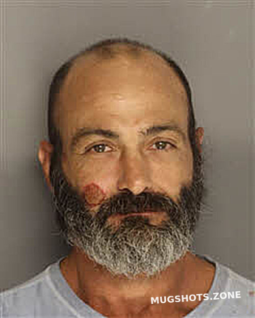 FREEMAN JOHN DAVID 08/09/2025 - Berkeley County Mugshots Zone