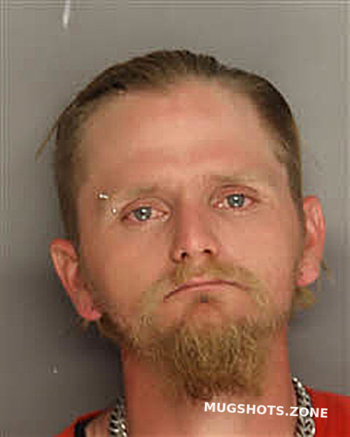 WILLIAMS JOSHUA ALLEN 08/15/2025 - Berkeley County Mugshots Zone