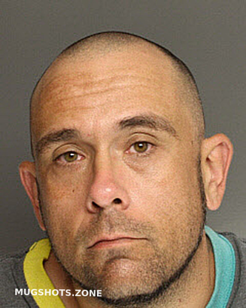 CIZEK DANIEL MARCEL 08/20/2025 - Berkeley County Mugshots Zone