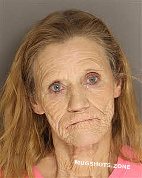 BOLEN DEBRA DAVIS 08/26/2025 - Berkeley County Mugshots Zone