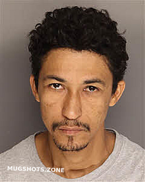 PAIVA-RAMOS RODRIGO 09/02/2025 - Berkeley County Mugshots Zone