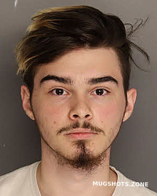 SHOLAR KENNETH AIDEN 09/18/2025 - Berkeley County Mugshots Zone