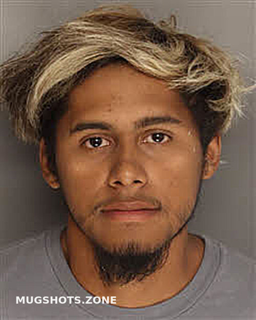 TAHVAL-MONTEPEQUE CHRISTOPHER ALEXIS 10/05/2025 - Berkeley County ...