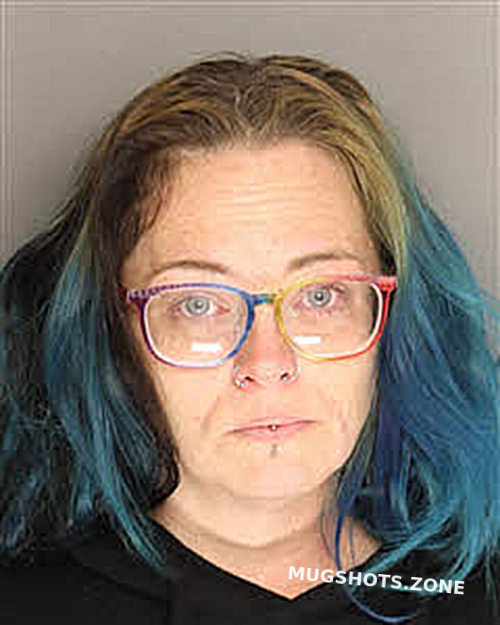 FARMER LISA GAIL 10/13/2025 - Berkeley County Mugshots Zone