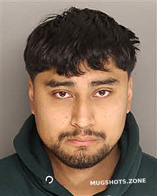ARELLANO-CERECEDO ELMER URIEL 10/18/2025 - Berkeley County Mugshots Zone