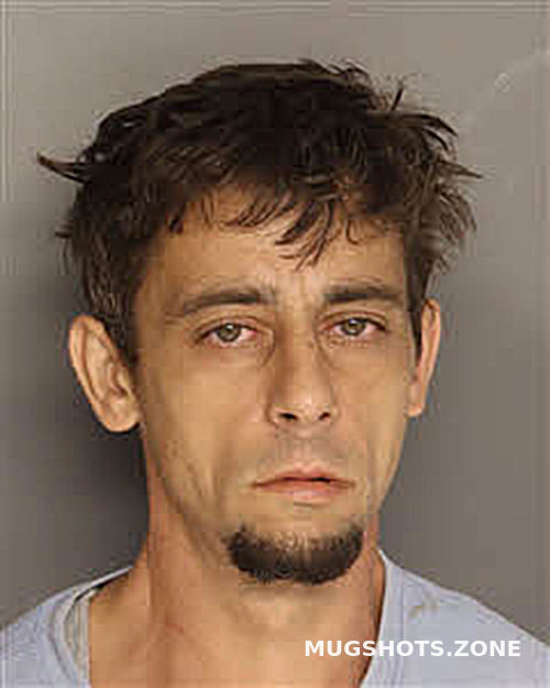 VIGLIANCO LUCAS CHARLES 10/29/2025 - Berkeley County Mugshots Zone