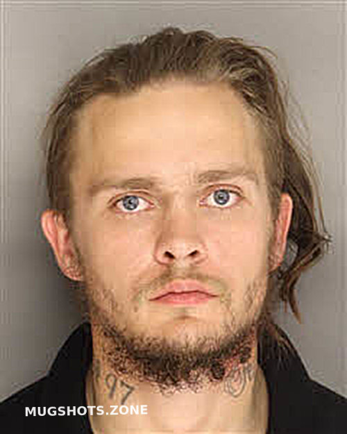 GREGORICH BRANDON CRAIG 10/31/2025 - Berkeley County Mugshots Zone