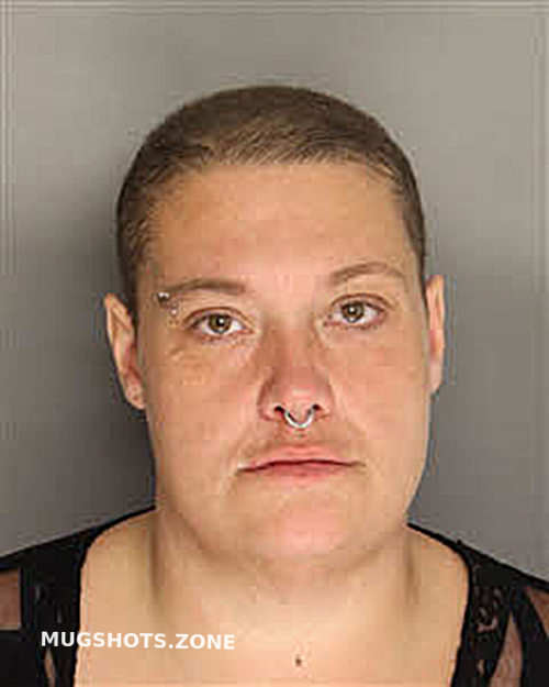 HARDISON JAMIE DIANE 11/01/2025 - Berkeley County Mugshots Zone