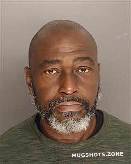 SKIPPER REGINALD BERNARD 11/11/2025 - Berkeley County Mugshots Zone