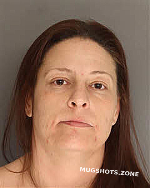 DAVIDSON STEPHANIE LYNN 11/14/2025 - Berkeley County Mugshots Zone