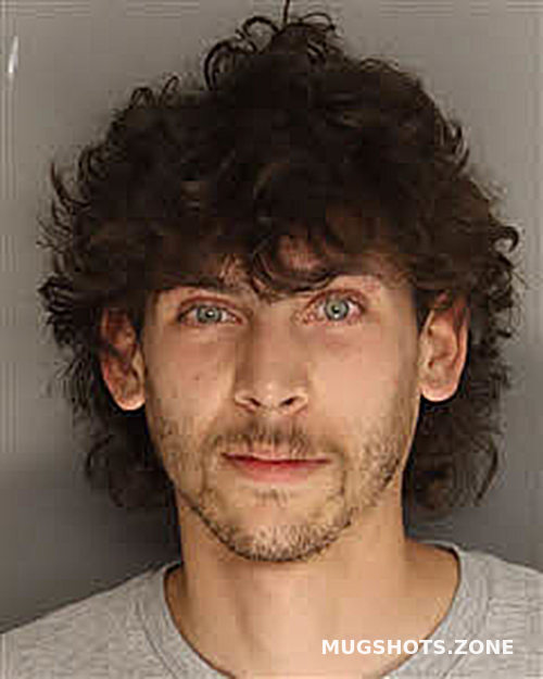 BATES RYAN ALLEN 11/19/2025 - Berkeley County Mugshots Zone