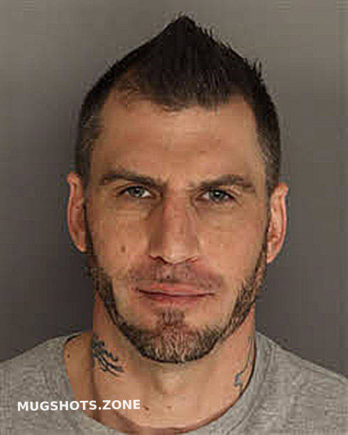 SHINABERRY VINCENT MICHAEL 11/29/2025 - Berkeley County Mugshots Zone