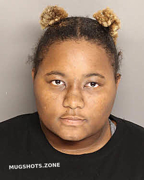 BRITTON ALAYSHA BRIEL 12/02/2025 - Berkeley County Mugshots Zone