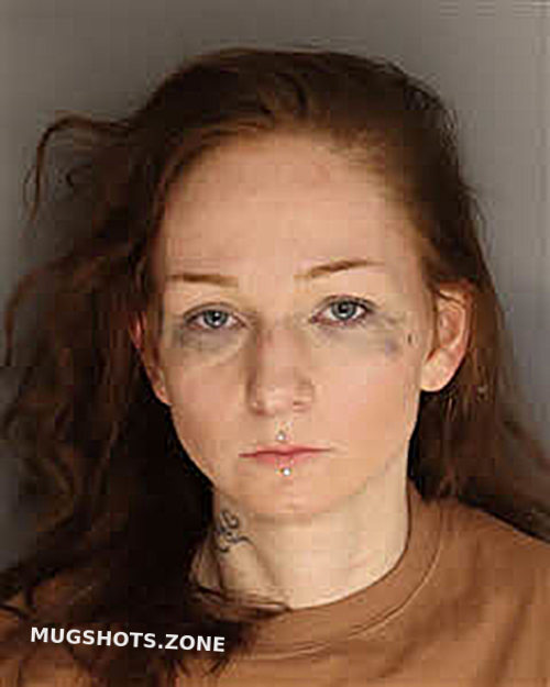 SULLIVAN KAITLIN AILEEN 12/13/2025 - Berkeley County Mugshots Zone