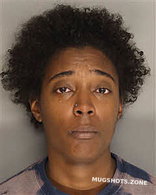 BROWN WHITNEY MITCHELL 12/23/2025 - Berkeley County Mugshots Zone