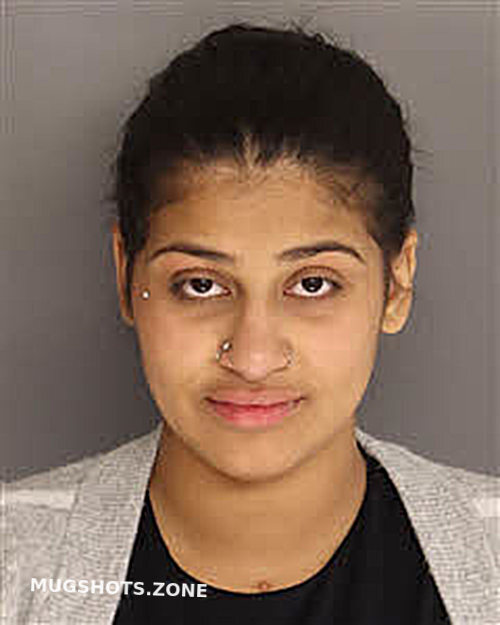 BRITTON ANALEE M 12/24/2025 - Berkeley County Mugshots Zone
