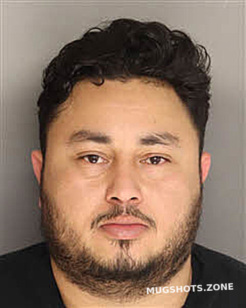 PAZ-ALVERANGA BAYRON 01/03/2026 - Berkeley County Mugshots Zone