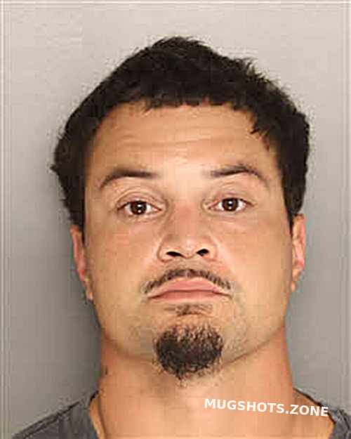 HENNEMAN MATHEW JORDAN 01/22/2026 - Berkeley County Mugshots Zone