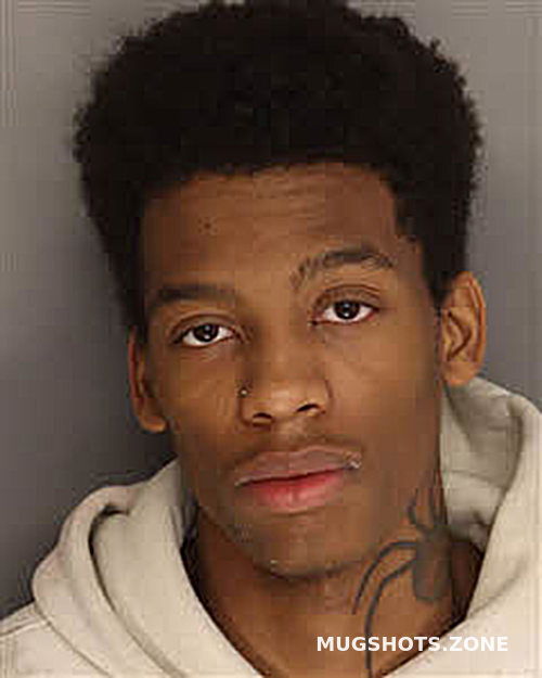 SPANN ELIJAH CALVIN 01/26/2026 - Berkeley County Mugshots Zone
