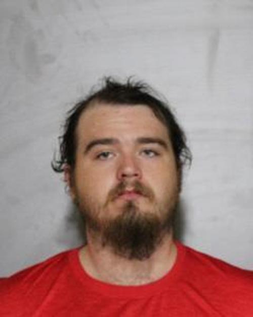 TREVOR LEACH 12/14/2020 - Blount County Mugshots Zone