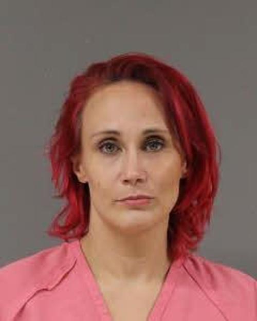 LISA CHAMBERS 03/20/2021 - Blount County Mugshots Zone