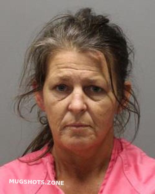 STACY HOGELAND 10/12/2021 - Blount County Mugshots Zone