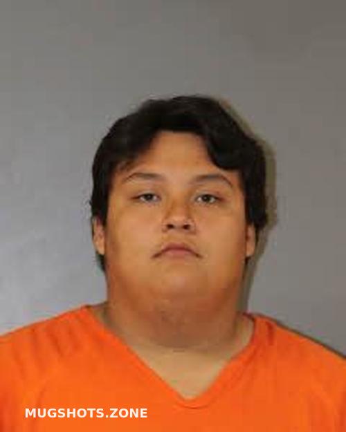 ANDREW ARREGUIN 03/16/2022 - Blount County Mugshots Zone