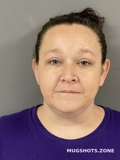 DEANNE GEAN 08/17/2023 - Blount County Mugshots Zone