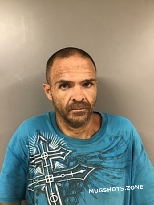 NATHAN BEAN 08/20/2023 - Blount County Mugshots Zone