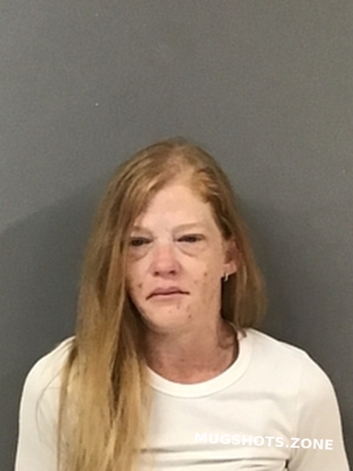 CHRISTY FOX 10/18/2023 - Blount County Mugshots Zone